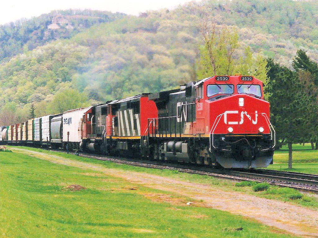 CN 2530